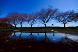 Kouji Tomihisa - FINEART-PORTUGAL